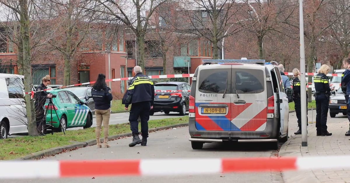 Eigenaar dodelijke klaphamer hoort 7 maanden cel tegen zich eisen ...