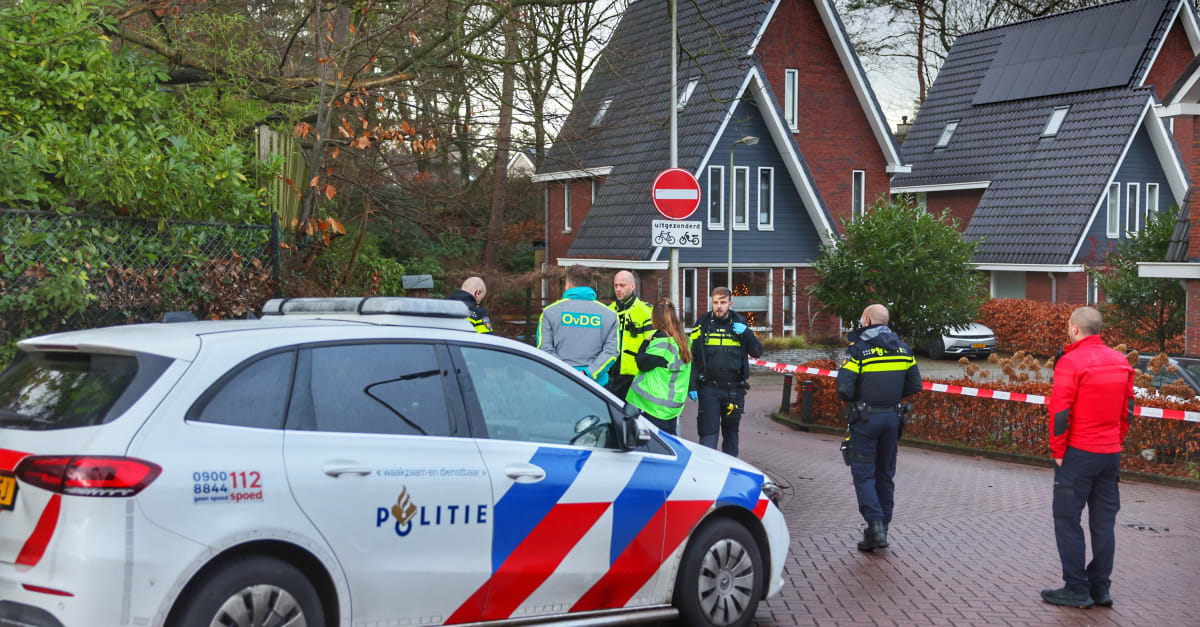 Verdachte van dodelijke steekpartij in Den Dolder blijft nog 14 dagen vastzitten | Hart van ...