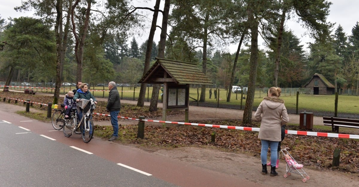 Damhert gedood in Epe, ingewanden achtergelaten | Hart van Nederland