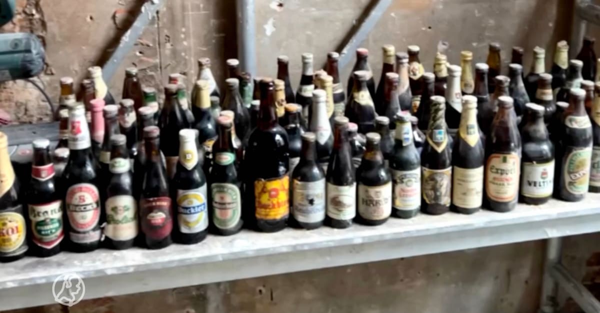 ZIEN: Dave en Mike vinden oude bierkelder onder hun woning | Hart van ...