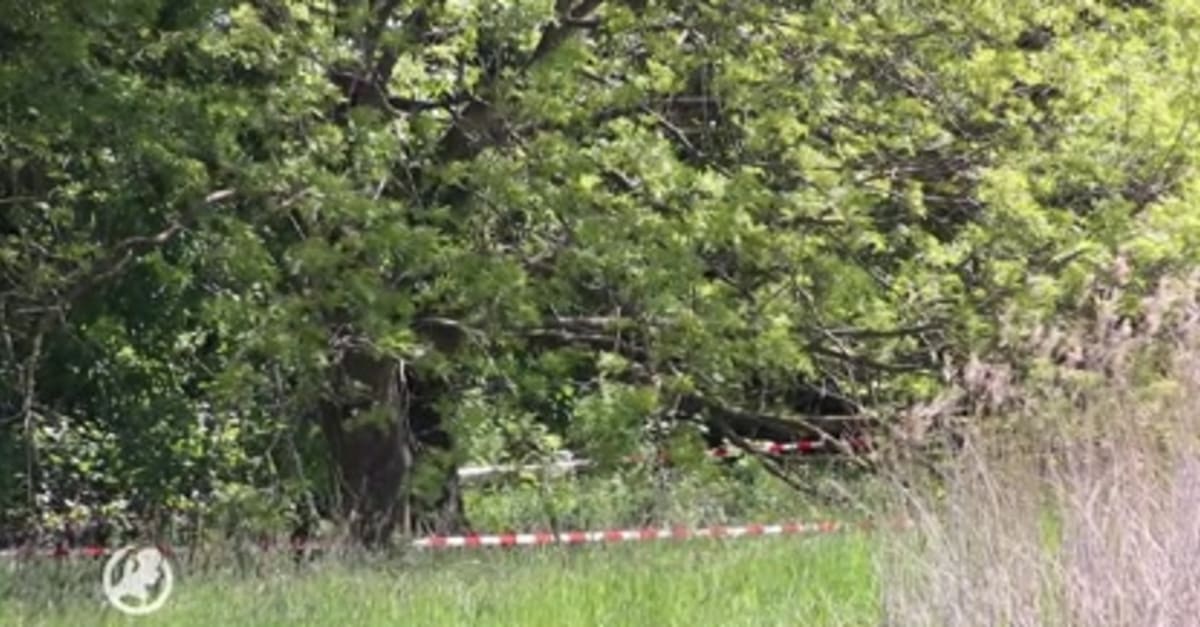 Verdachte opgepakt voor moord op Hidde Bergman in Groningen