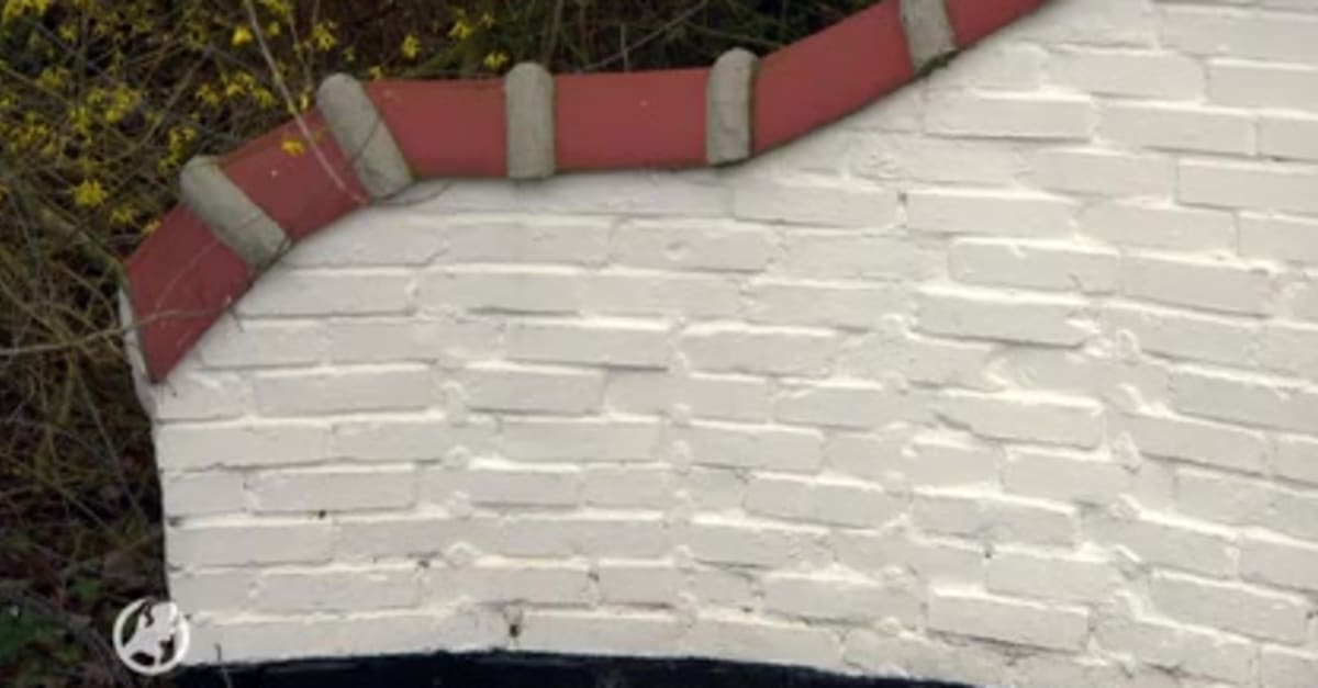 Naar de stembus met PVV-kandidaat Jeffrey wiens woning werd beklad