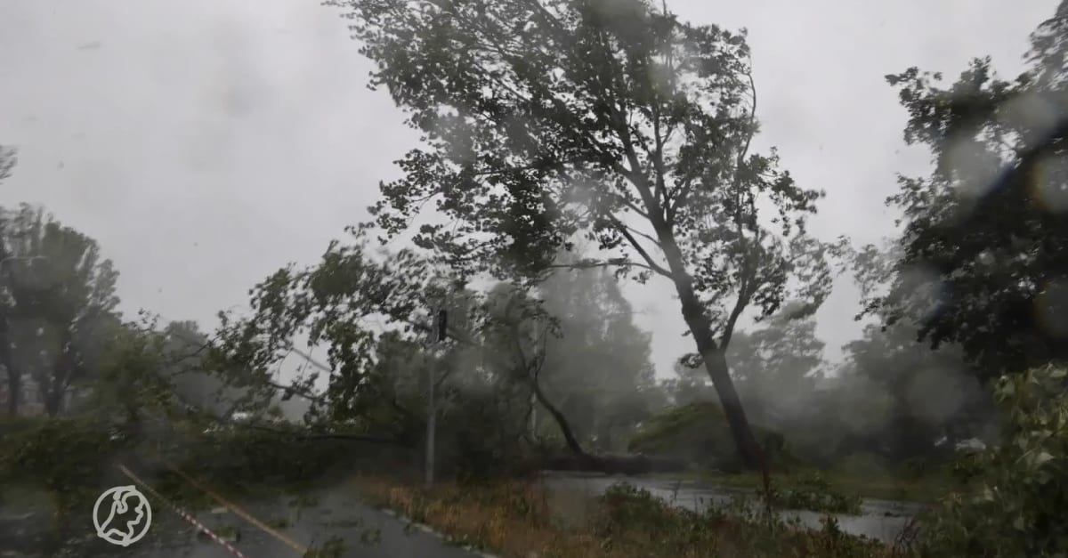 Storm Poly in beeld: groot deel Nederland getroffen door zwaarste ...