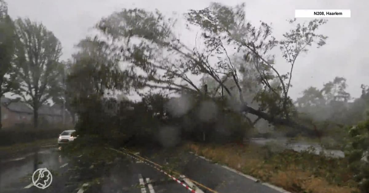 Hart van Nederland - Late Editie: Gevolgen storm Poly in beeld: veel ...