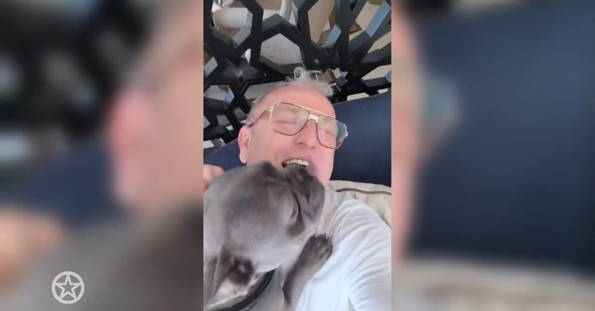 Shownieuws: Gordon blij verrast bij thuiskomt in Dubai