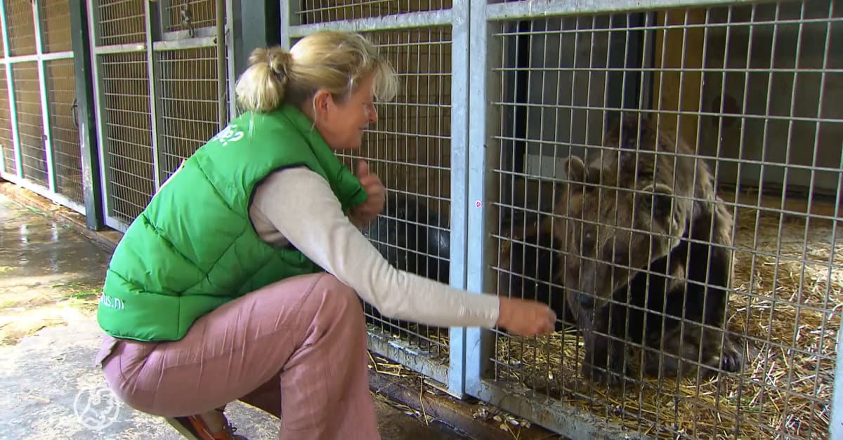 Oude beelden: beer Maria voor het eerst buiten in Rhenen