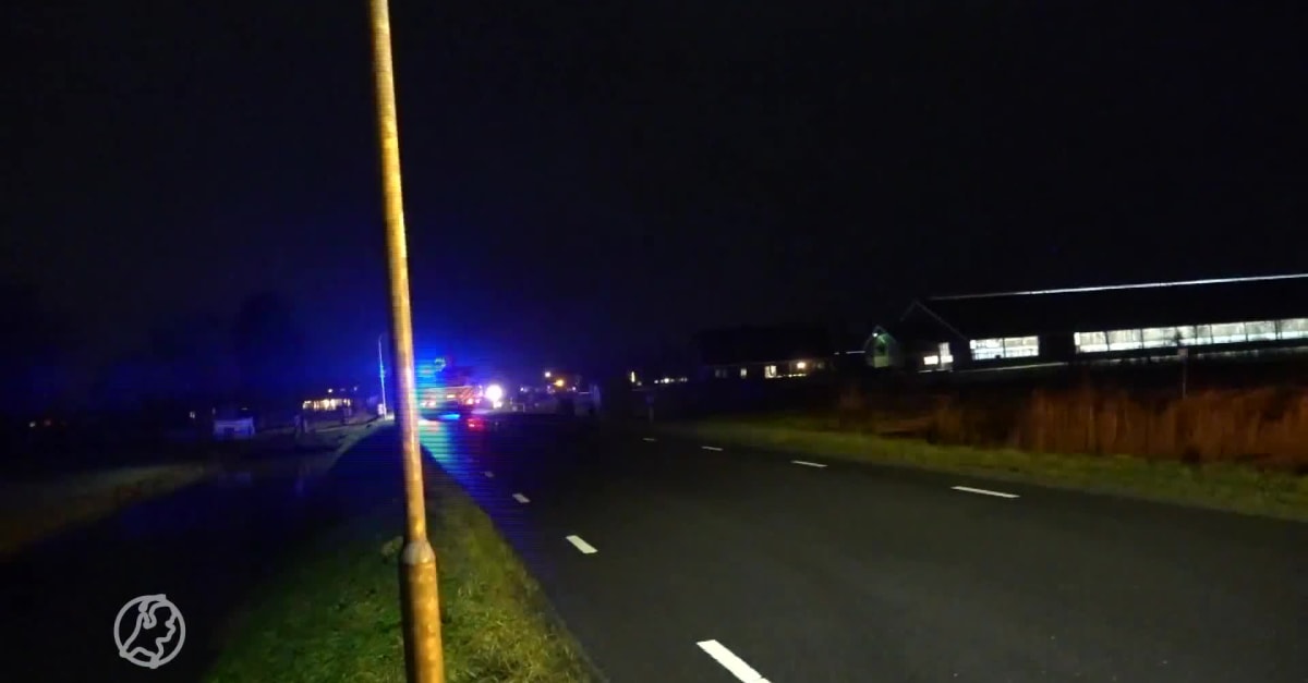 Vier paarden levend verbrand bij grote brand in boerderij bij Hoogwoud