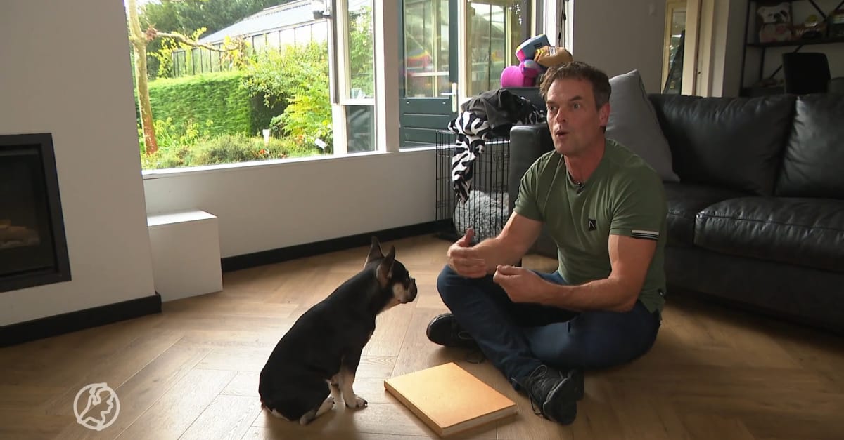 Je kunt je huisdier maar beter nu al voorbereiden op vuurwerkknallen