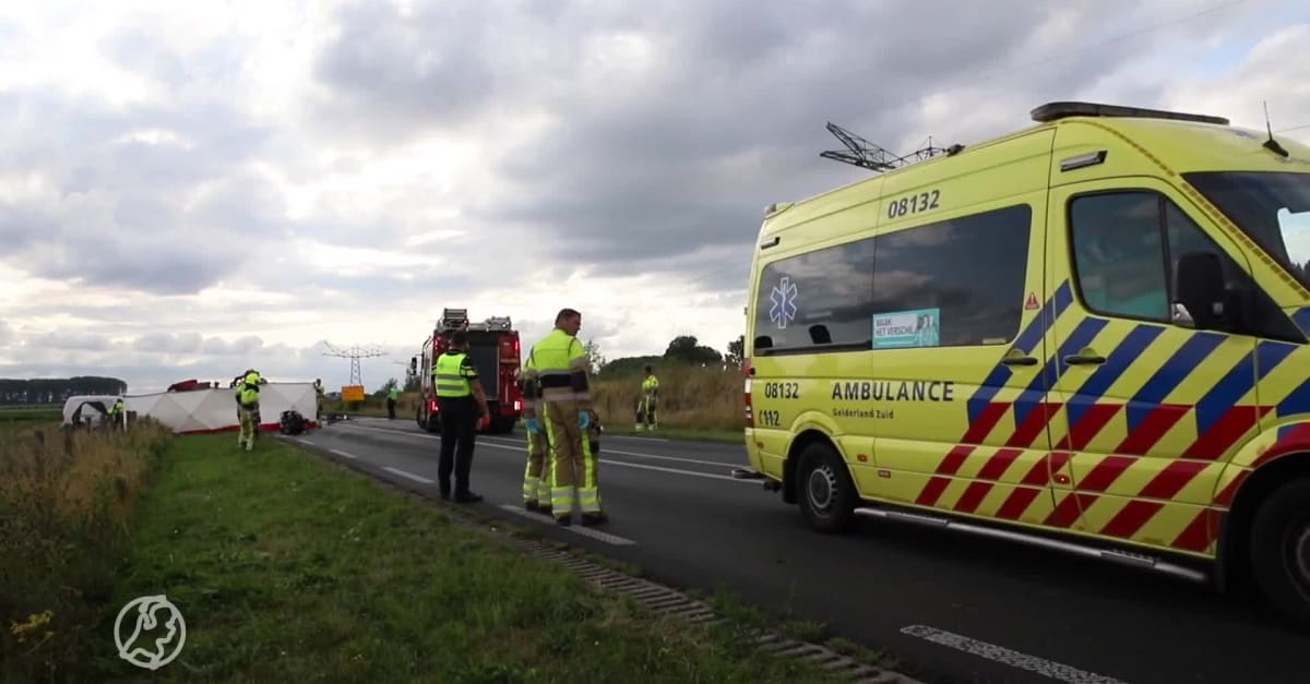 Bestuurder (29) komt om het leven bij frontale botsing met vrachtwagen in Gelderland