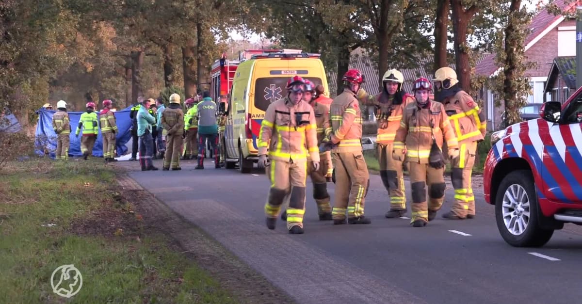 Twee doden door ongeval in Gelderse Rekken, auto botste tegen boom