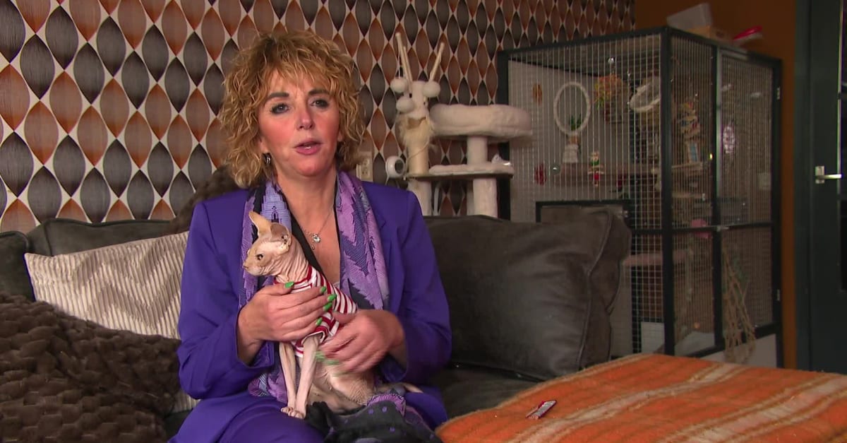 Hart van Nederland - Late Editie: Nederlandse naaktkat Wilma krijgt rol ...