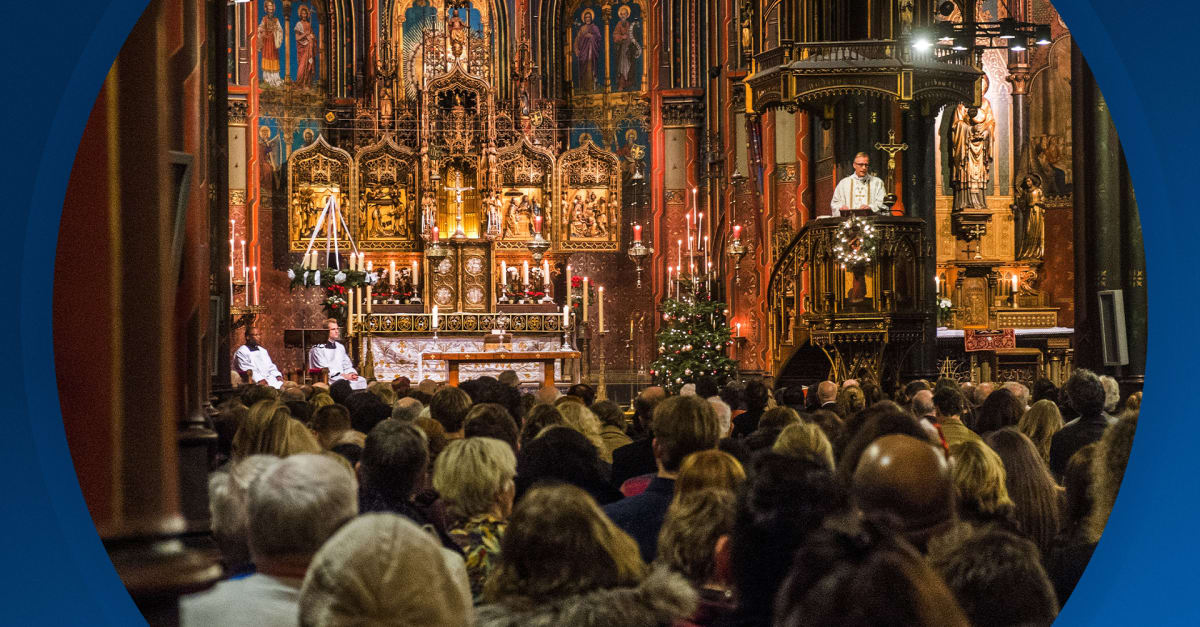 Hart van Nederland - Late Editie: Seizoen 2024 Aflevering 359