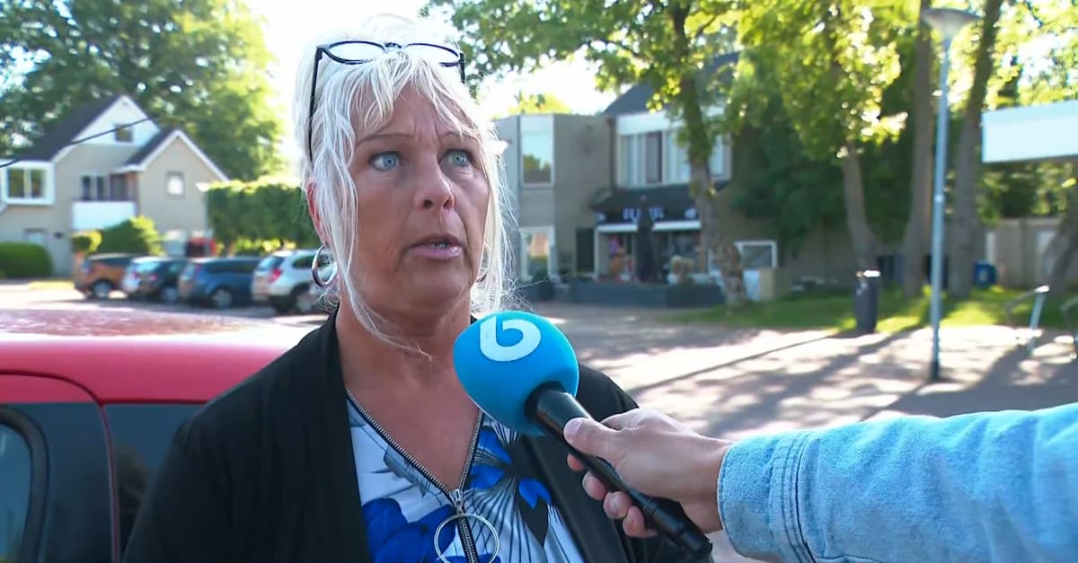 Hart van Nederland - Late Editie: Verdachte ontvoering Beerta was ...