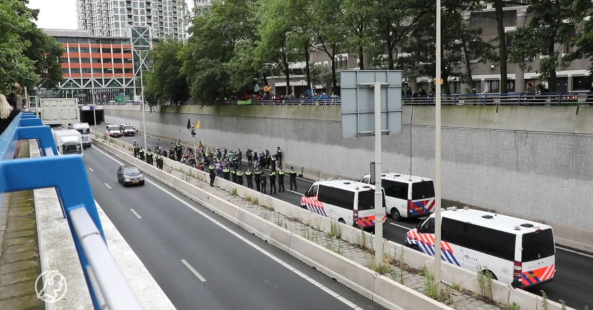 Tientallen demonstranten blokkeren A12 in Den Haag