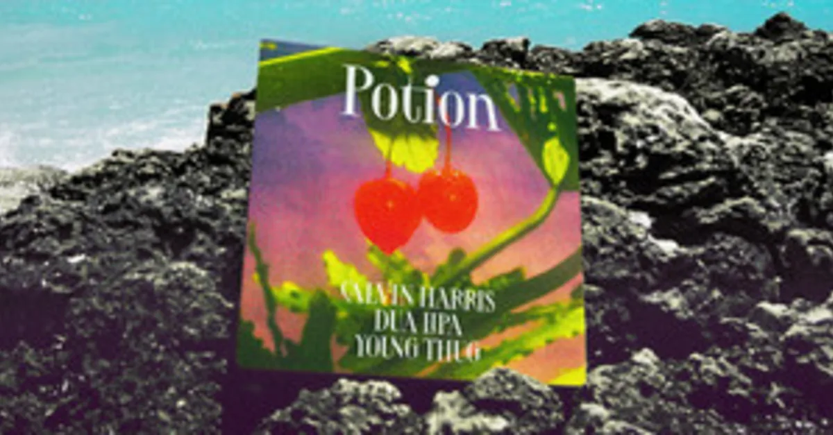 Potion van Calvin Harris ft. Dua Lipa & Young Thug is de nieuwe 538 ...
