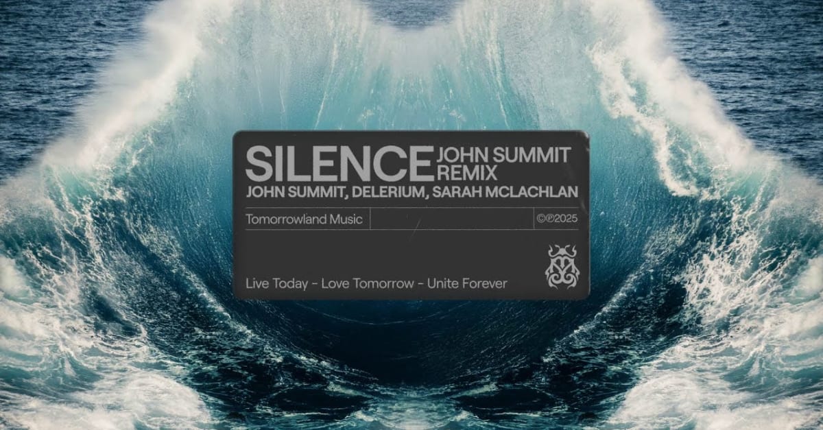 GEMAAKT: Delirium, Sarah McLachlan & John Summit - Silence (John Summit ...
