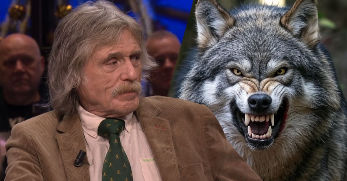 Johan Derksen over herdenking voor probleemwolf Bram: 'Dit land is gek ...