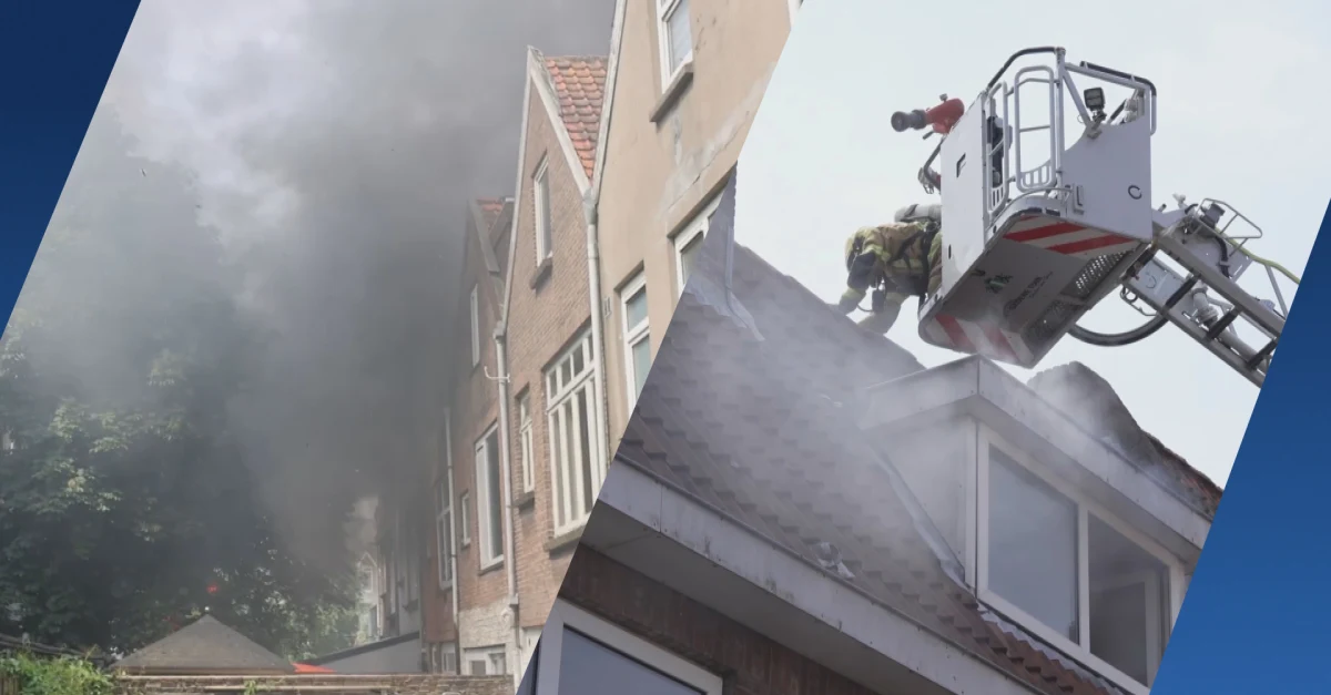 NL-Alert bij woningbrand Rotterdam: katten gered, omwonenden ...