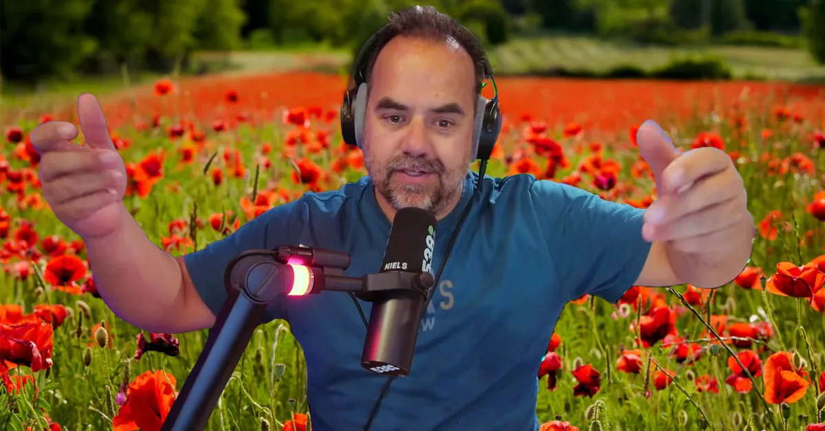 Boer Frank zaait per ongeluk 85.000 vierkante meter klaprozen in plaats ...