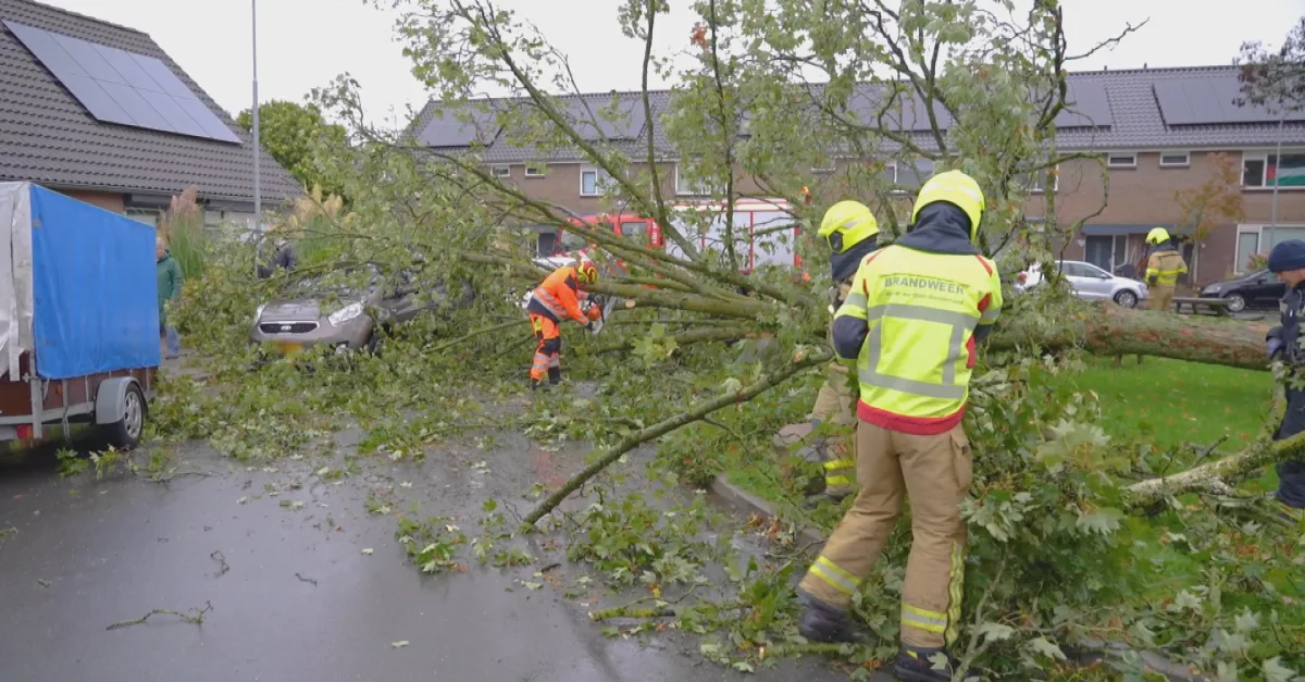 Storm Amy: vluchten gecanceld, omgewaaide bomen en flinke schade door ...