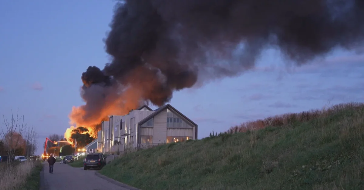 Pijat plus indonesia video