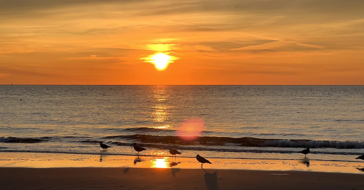 Geniet van laatste zomerse weekend: herfst staat voor de deur | Hart ...