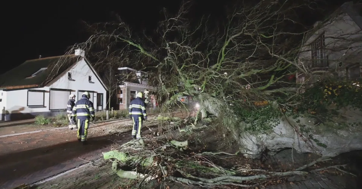 Stormschade? Hier heb je recht op | Hart van Nederland