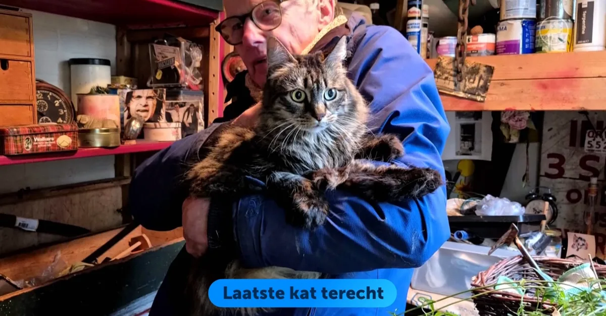 Laatste vermiste kat na Utrecht-explosie terug: Cara veilig thuis ...