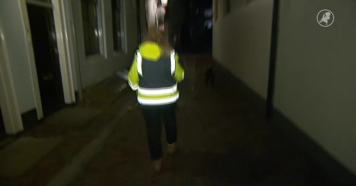 Vrijwilligers zoeken naar vermiste katten na explosie Utrecht