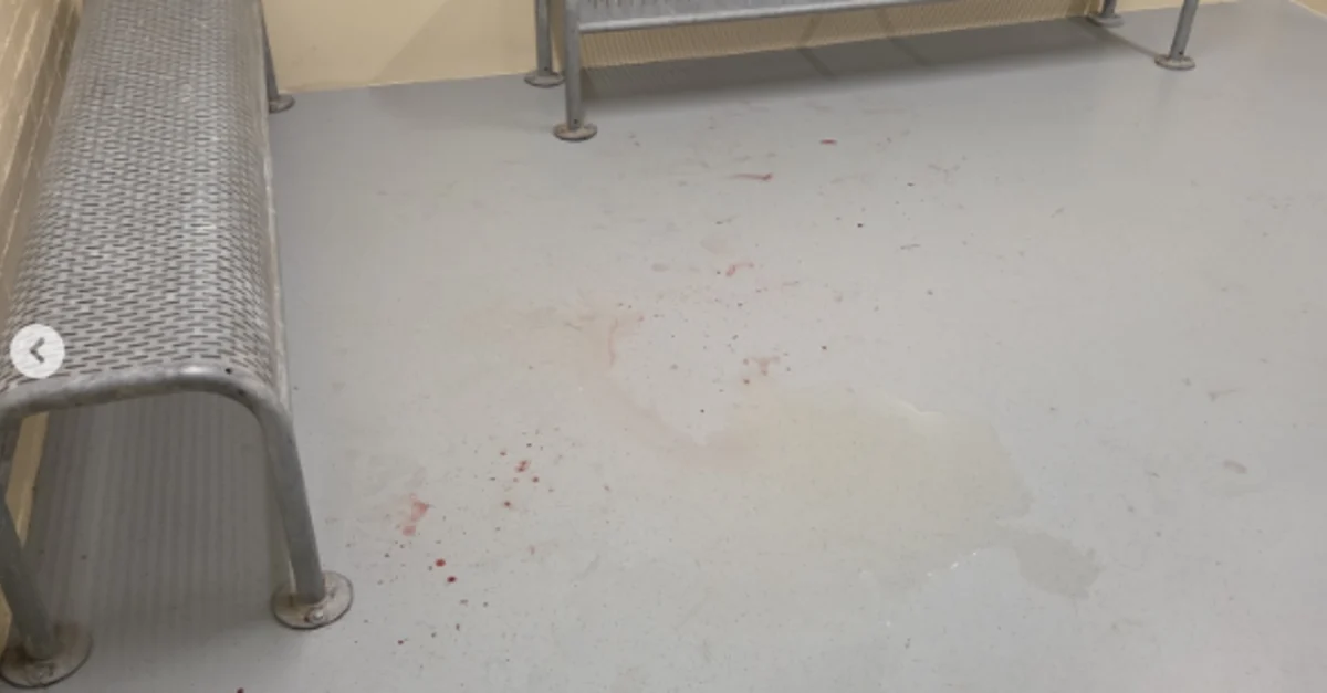 Arrestant gaat los in politiecel: plast op vloer en smeert bloed op ...