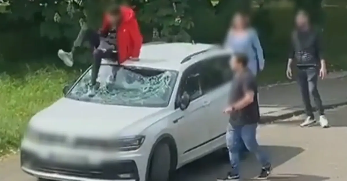 18-jarige Duitser gaat door het lint en vernielt auto tijdens dagje uit in Gelderland | Hart van ...