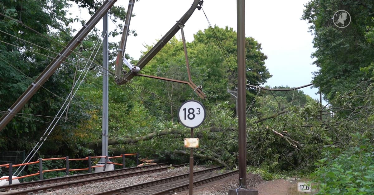 Boom valt op bovenleiding: treinverkeer bij Vught dagenlang plat | Hart ...