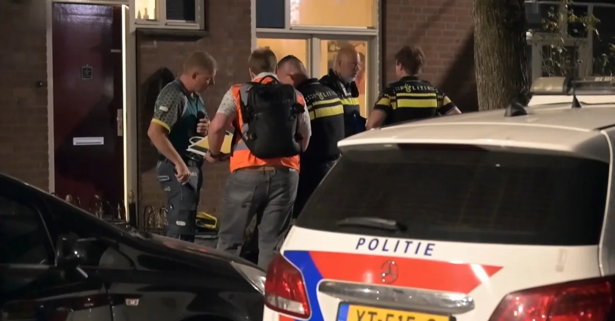 Man overleden na aanval door twee honden, dieren zijn afgemaakt | Hart van Nederland