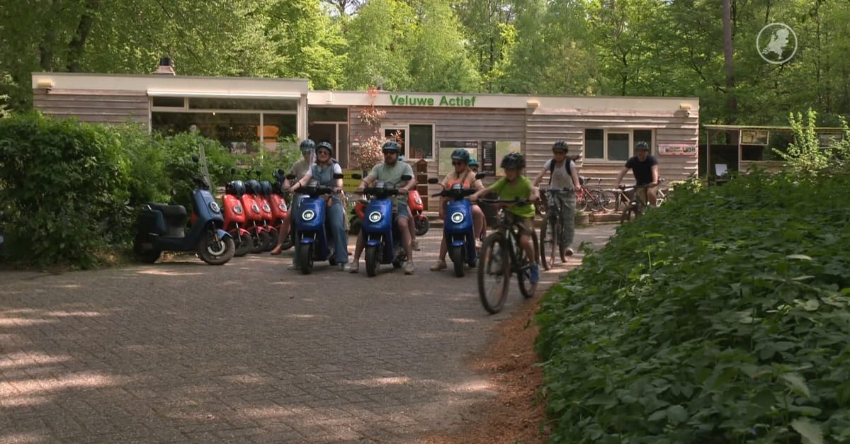 Drukte op de Veluwe loopt de spuigaten uit: natuur staat onder druk