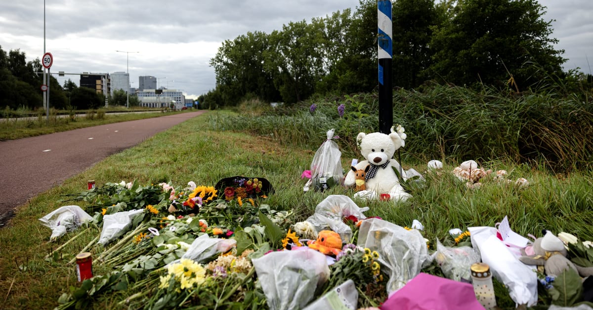 'Al jaren klachten over slechte verlichting op weg waar Lisa werd gedood' | Hart van Nederland