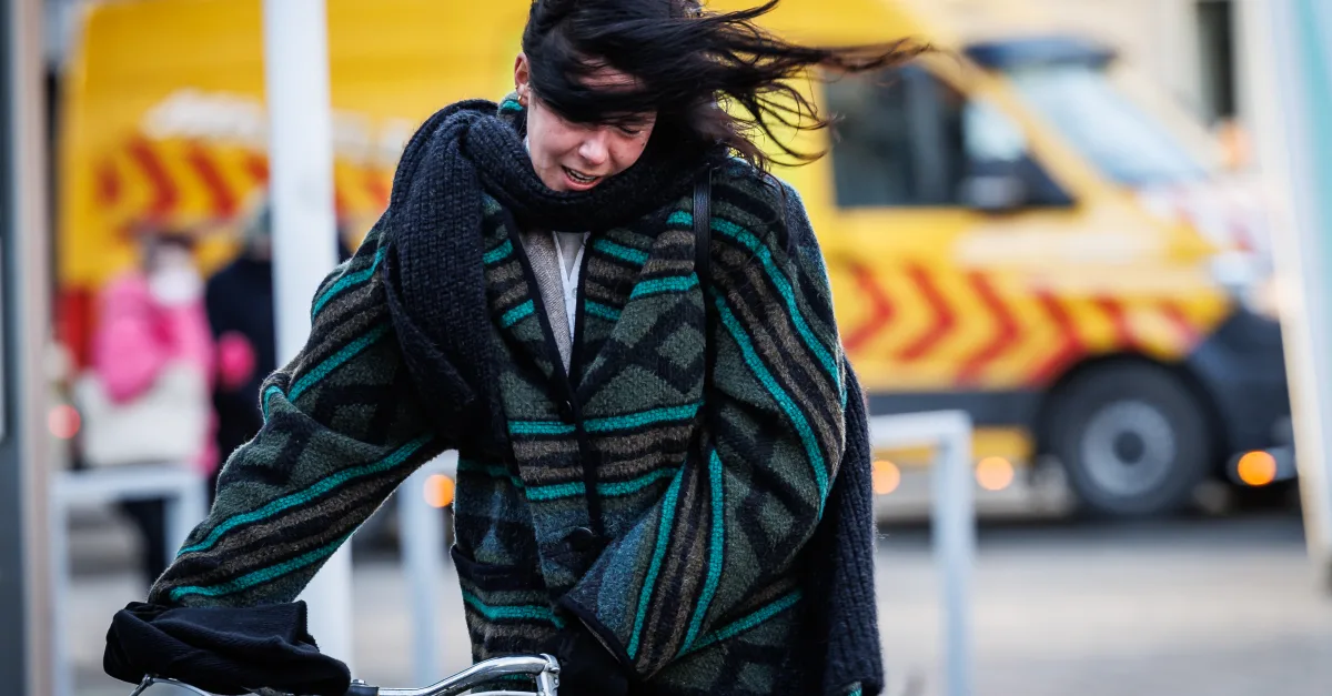 Storm Amy trekt over Nederland: windstoten tot 100 km/u, dit kun je ...
