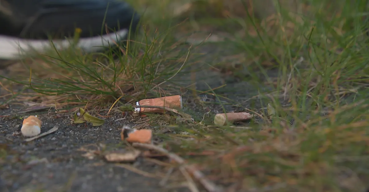 Record: bijna een miljoen peuken geraapt van de straat | Hart van Nederland