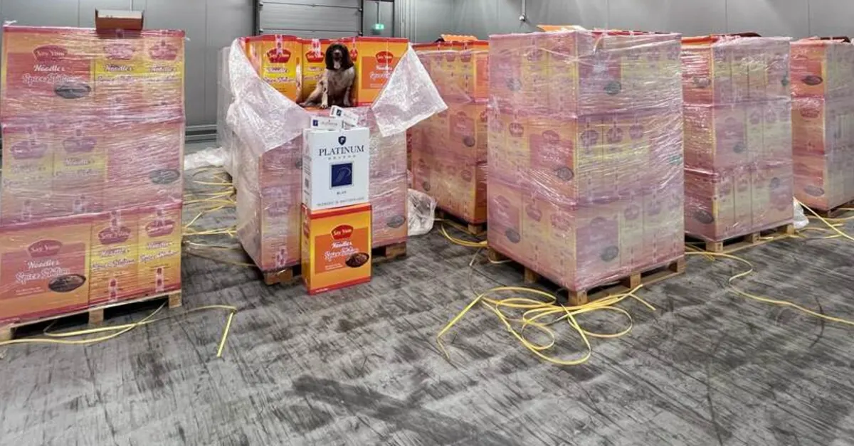 Miljoenen illegale sigaretten en duizenden kilo's shag onderschept in ...