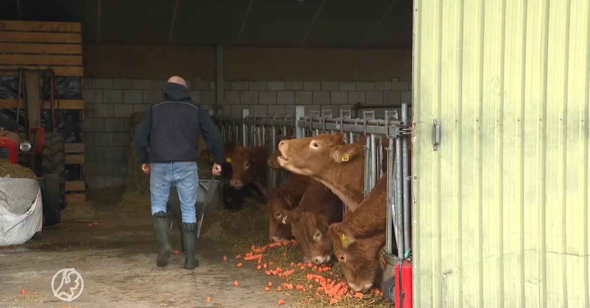 Veehouder Leon wil de eerste kweekvleesboer zijn