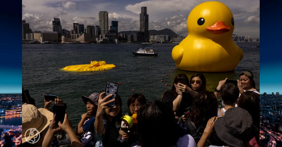 Twee enorme badeenden van Nederlandse kunstenaar in Hongkong na 1 dag ...