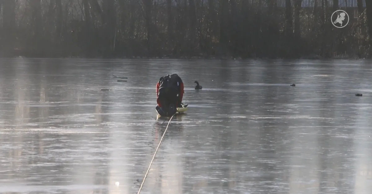 Hart van Nederland: Vastzittende dieren uit het ijs gered bij Saasveld ...