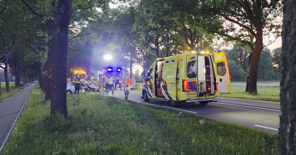 Hart van Nederland - Late Editie: Dode bij frontale botsing op N224 bij De Klomp