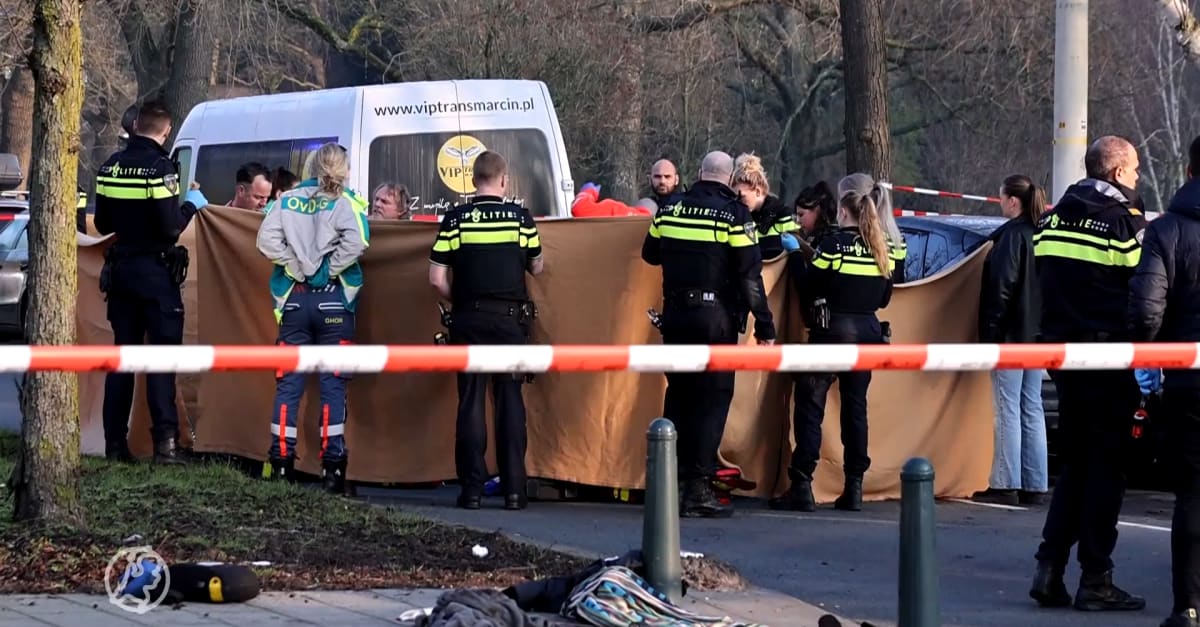 Hart van Nederland - Late Editie: Dode en zwaargewonde door steekpartij in Den Haag