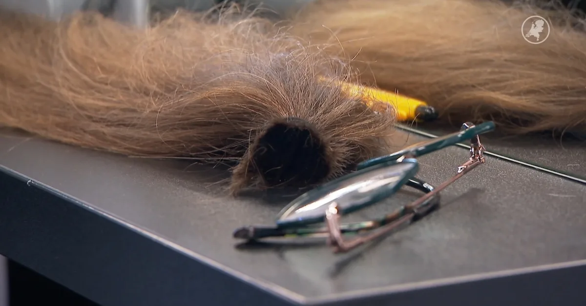 Hart van Nederland - Late Editie: Haar doneren tegen kanker: Kapper in ...