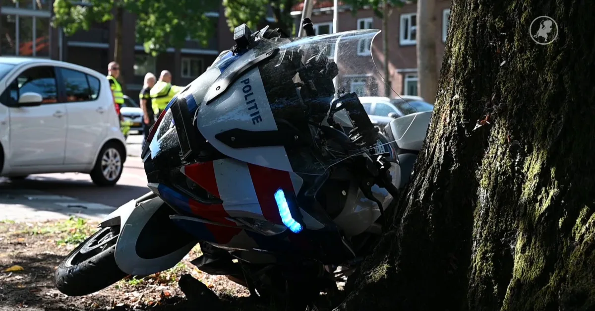Hart van Nederland - Late Editie: 72-jarige Tilburger rijdt onder ...
